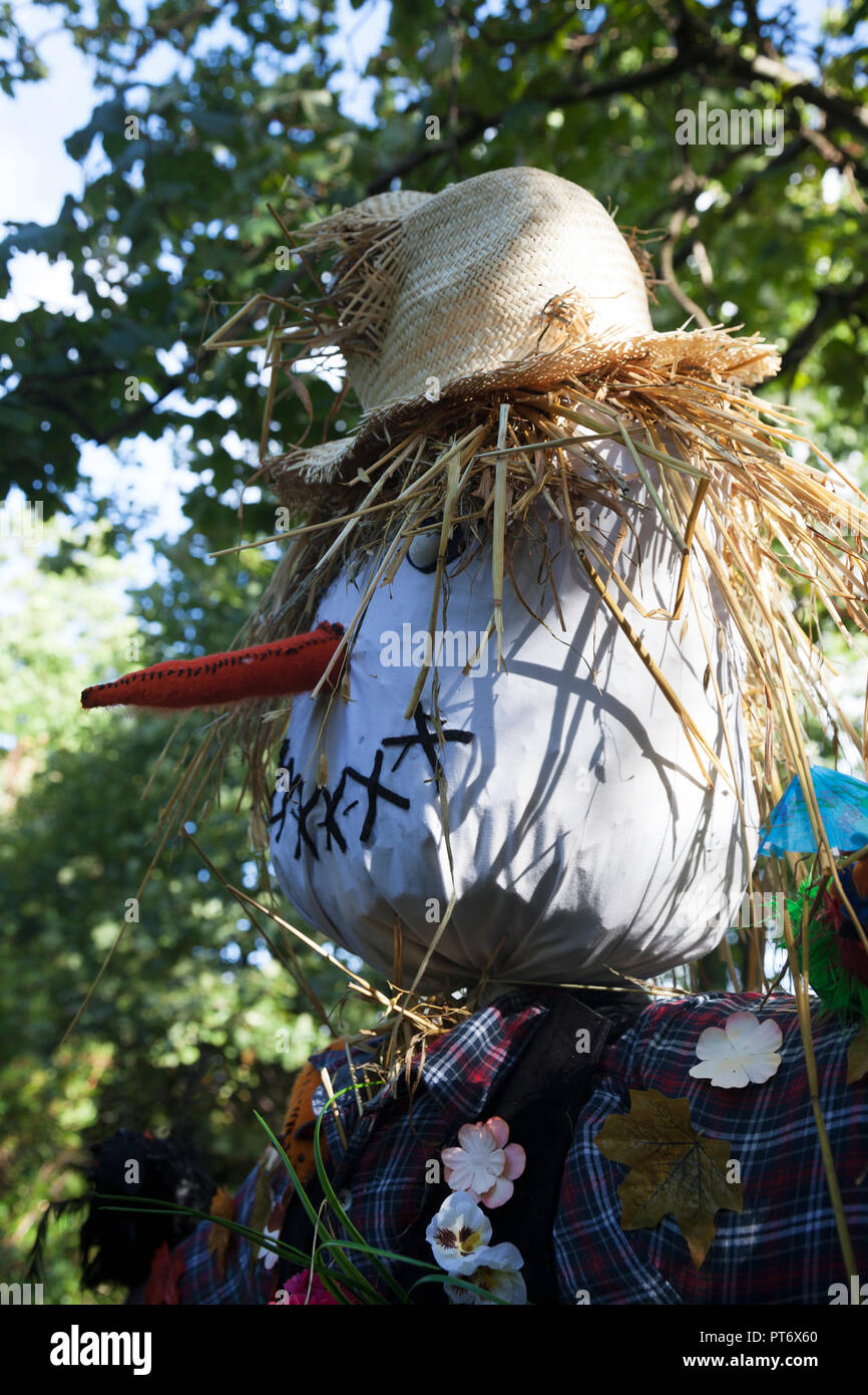 Scarecrow with carrot nose, criss-cross mouth and tartan shirt Stock ...