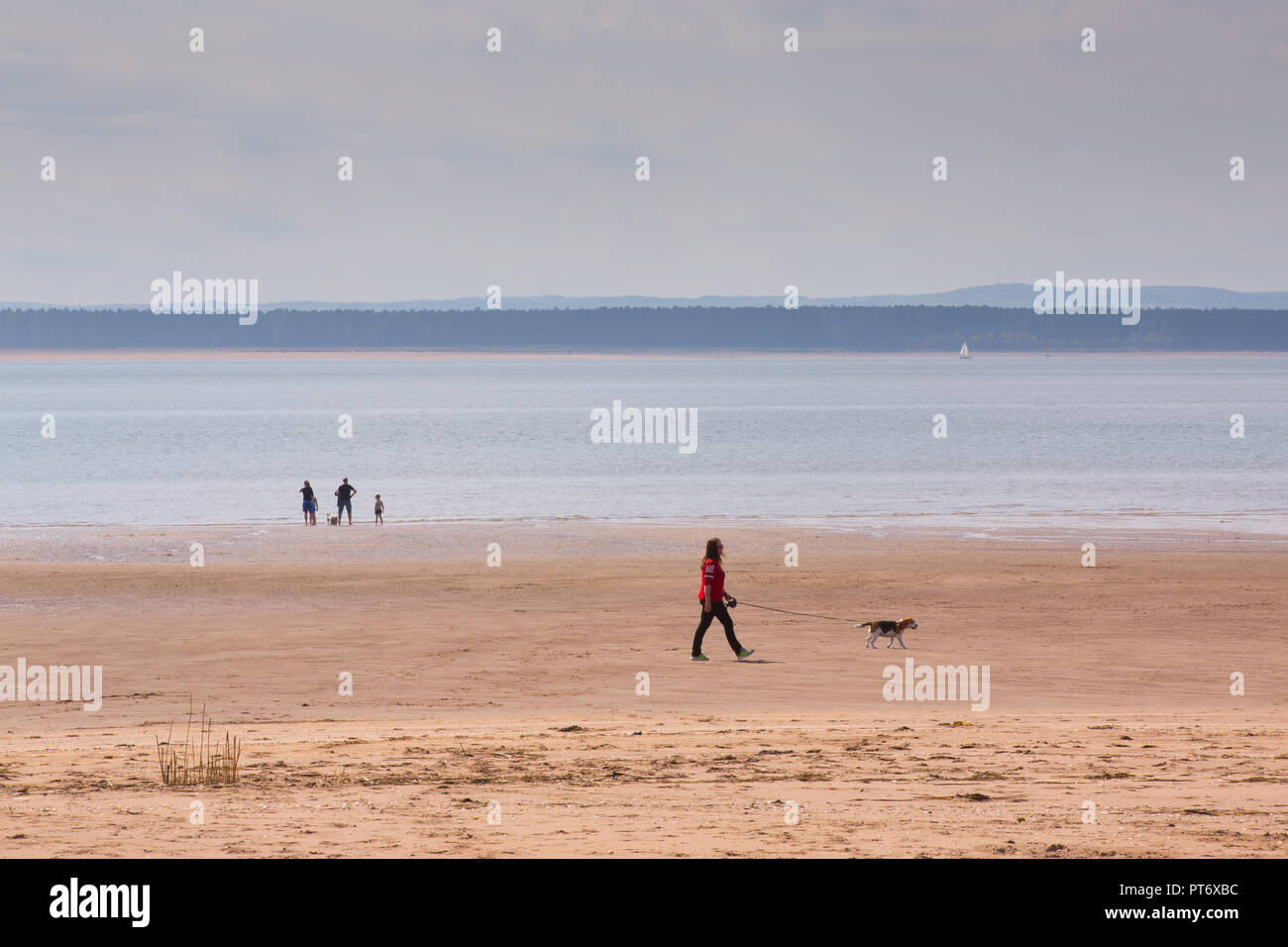 Monifieth hi-res stock photography and images - Alamy