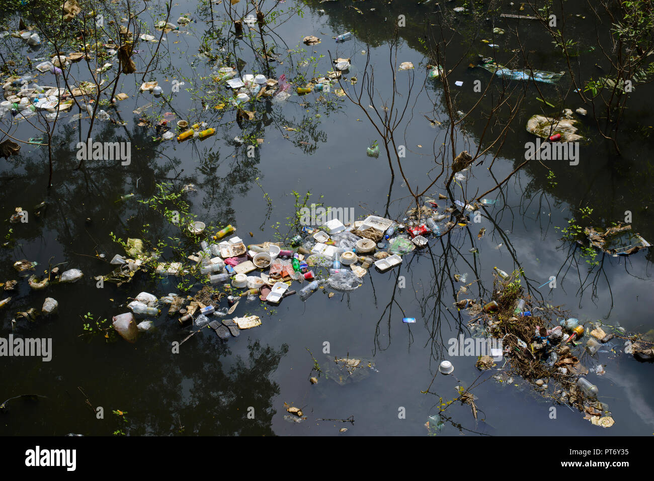 Water pollution effects dirty garbage in canal Stock Photo - Alamy