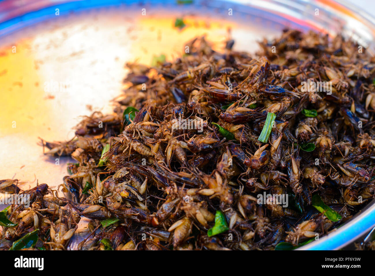 Fried grasshoppers sold at street markets in Bangkok Stock Photo - Alamy