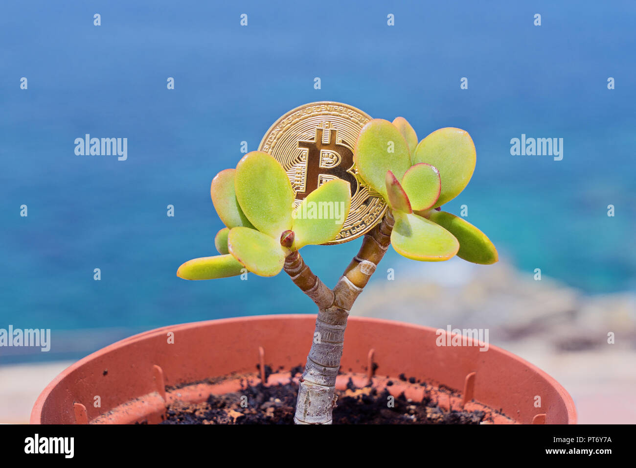 Bitcoin Mining Cryptocurrency Mining Concept at Home Farms Stock Photo ... Bitcoin Mining Cryptocurrency Mining Concept at Home Farms Stock Photo ...
