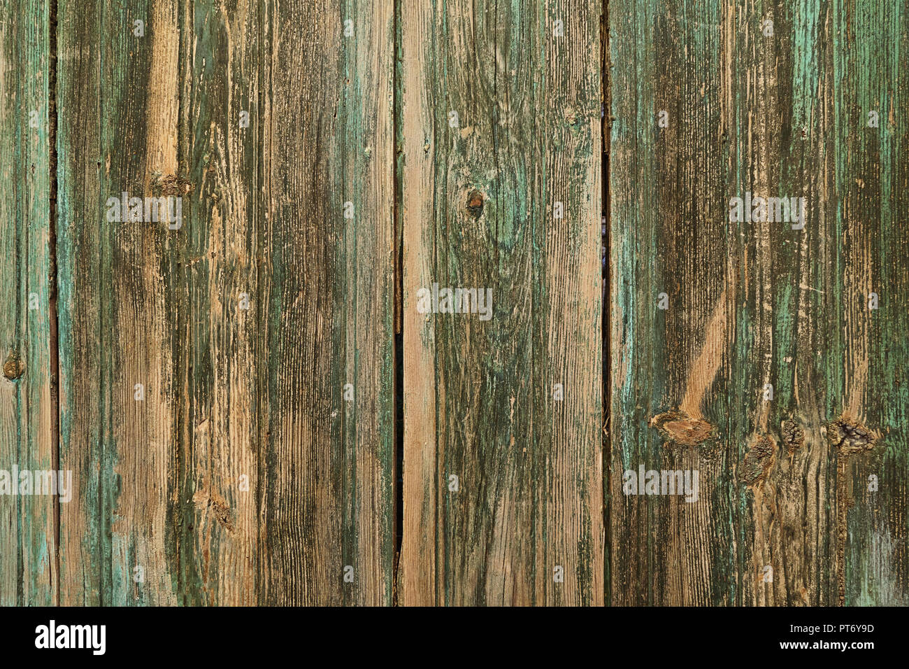 Vintage painted wooden background wall green color, close up natural ...