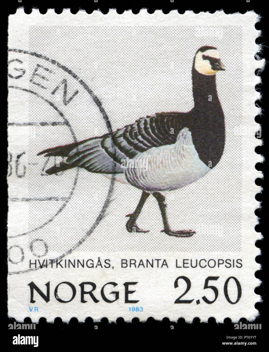 Goose stamp hi-res stock photography and images - Alamy