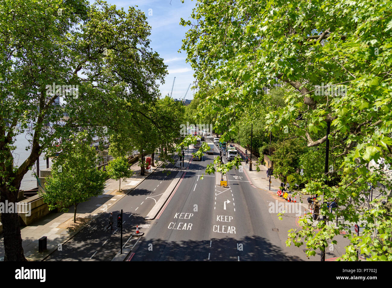 London street trees hi-res stock photography and images - Alamy