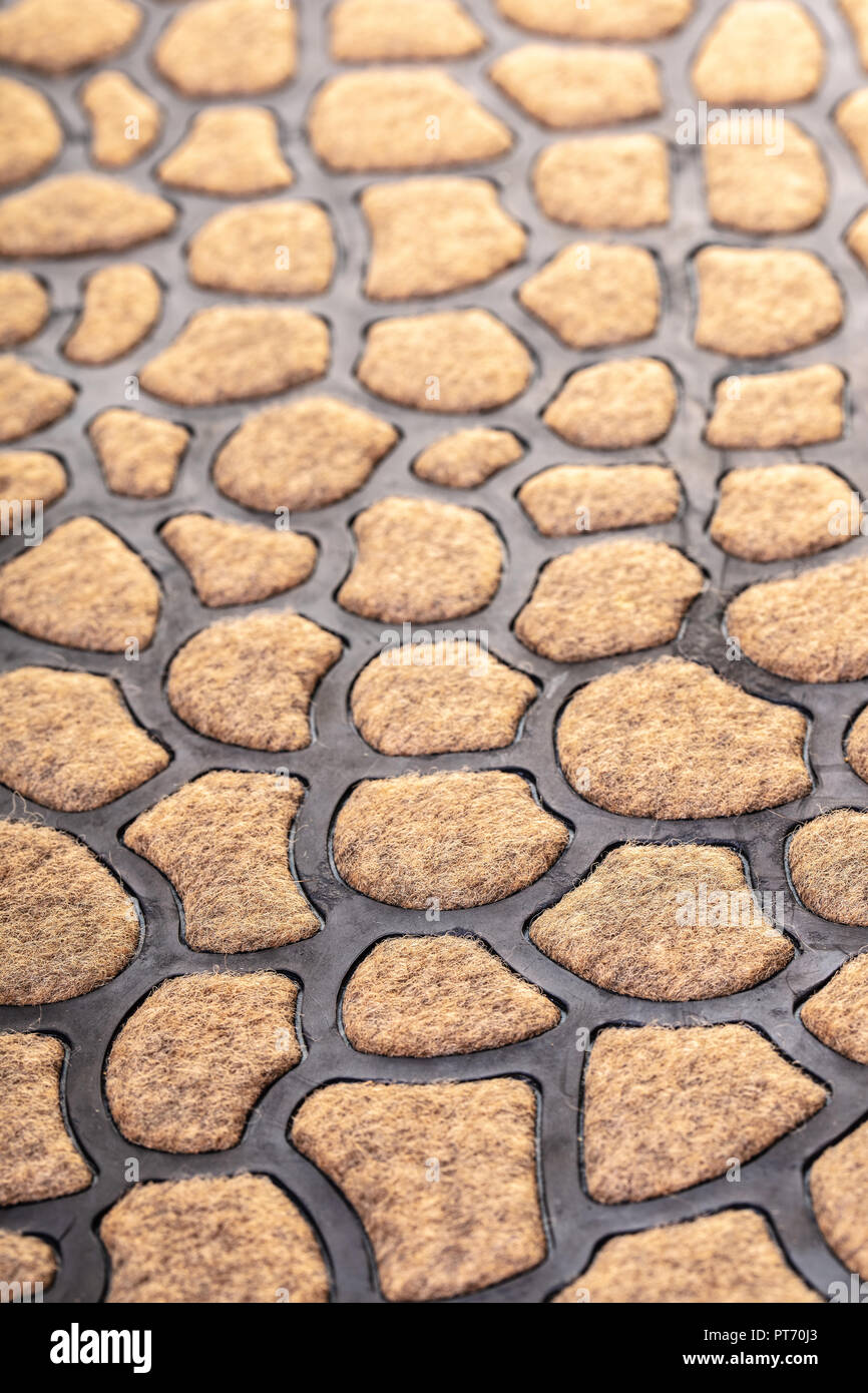 Porch floor texture hi-res stock photography and images - Alamy