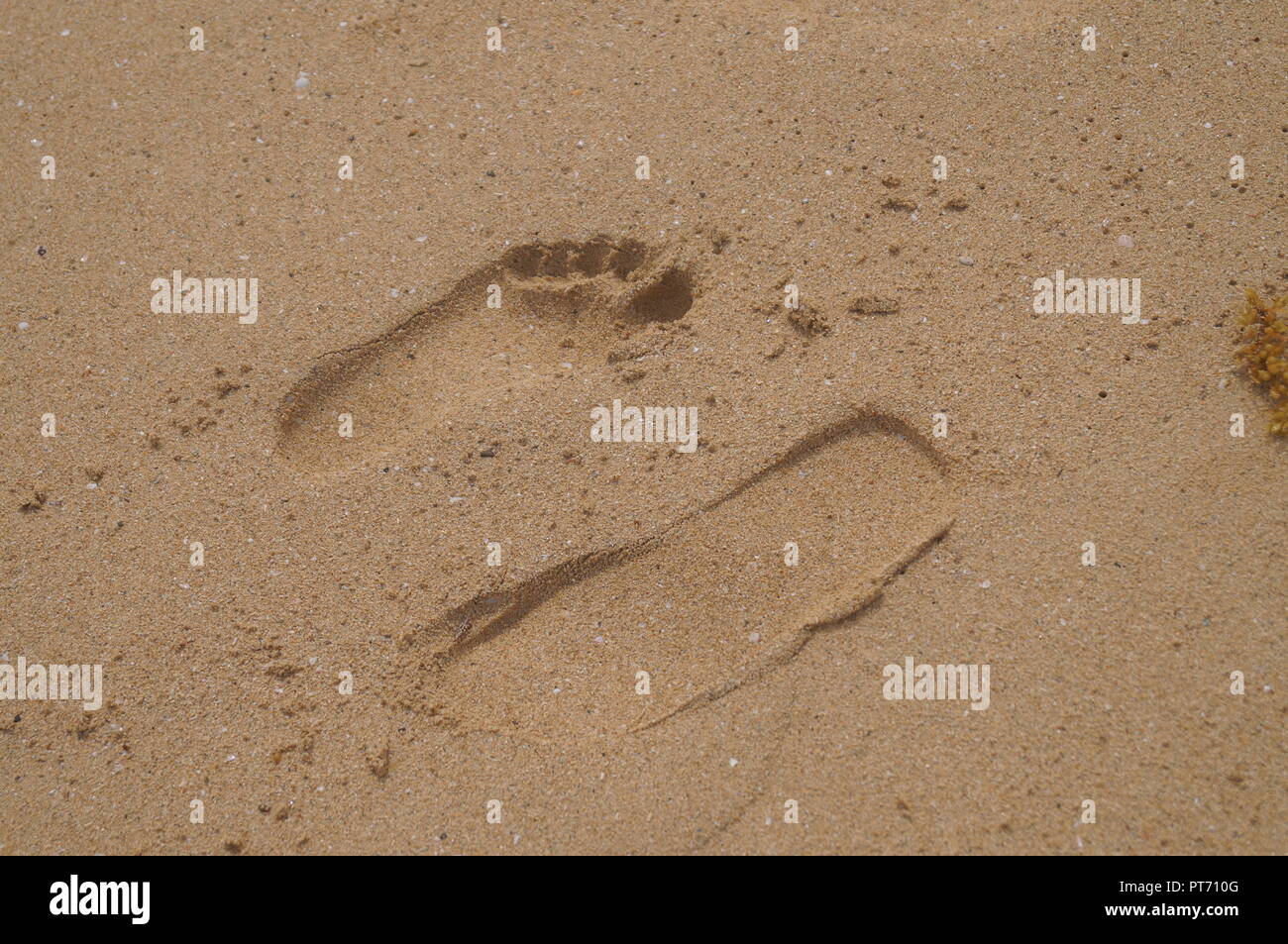 Barefoot island hi-res stock photography and images - Alamy