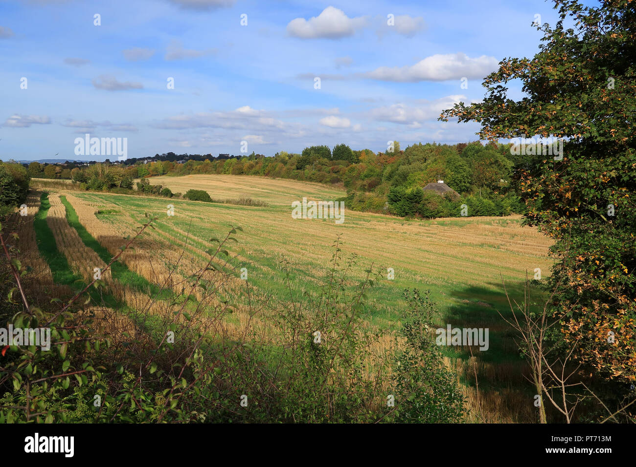 A view of the green fields and colourful trees of North Kent Stock ...