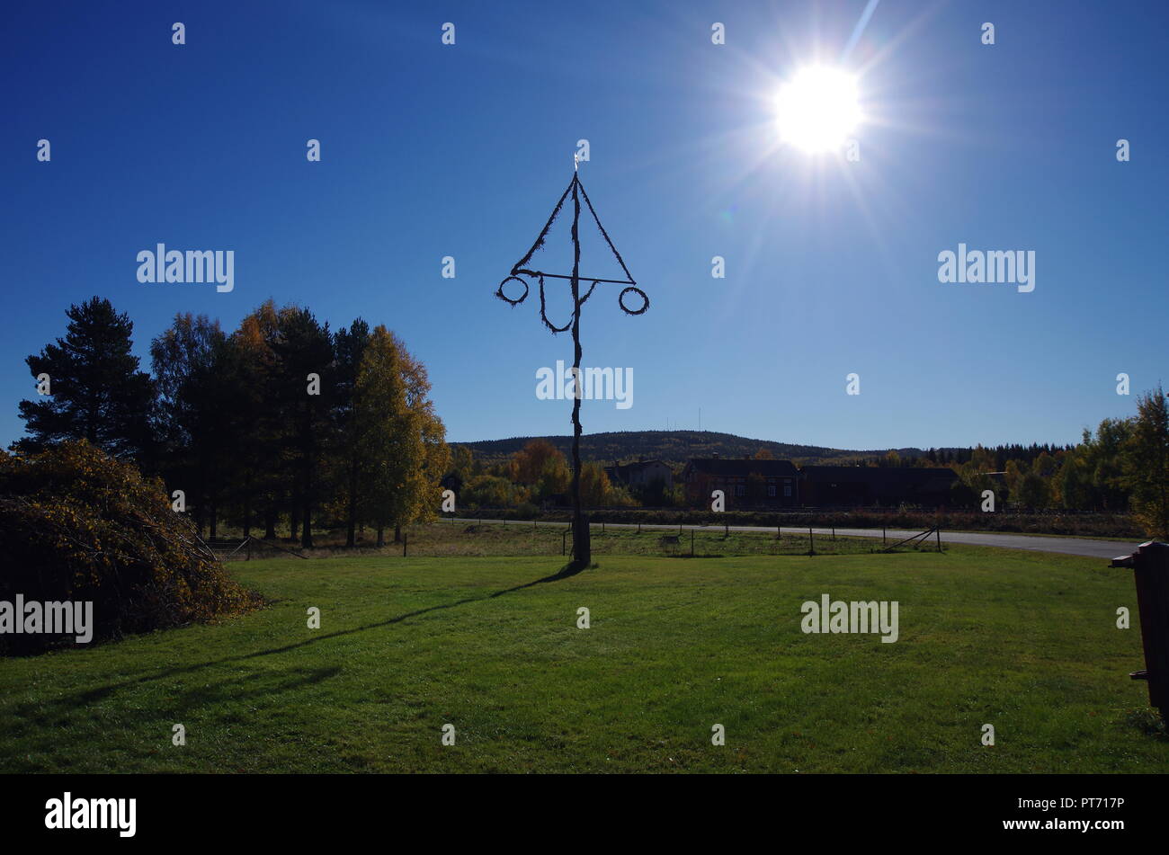 A midsummer tree in a park in Dalarna Stock Photo - Alamy