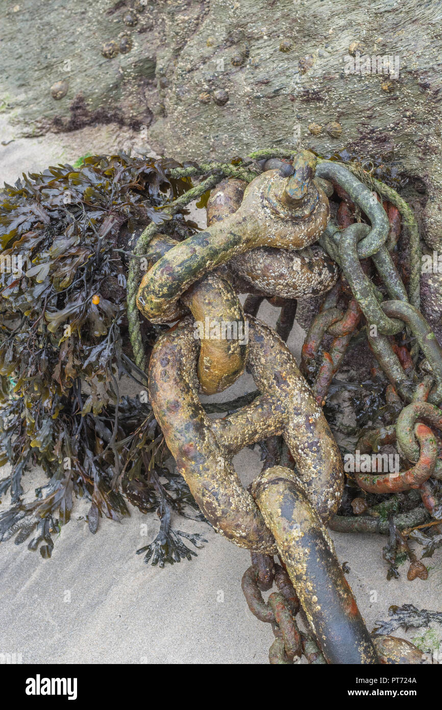 Old and rusty mooring chains. Metaphor strong links, strongest link ...