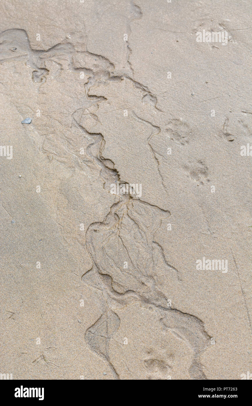 Stratigraphy hi-res stock photography and images - Alamy