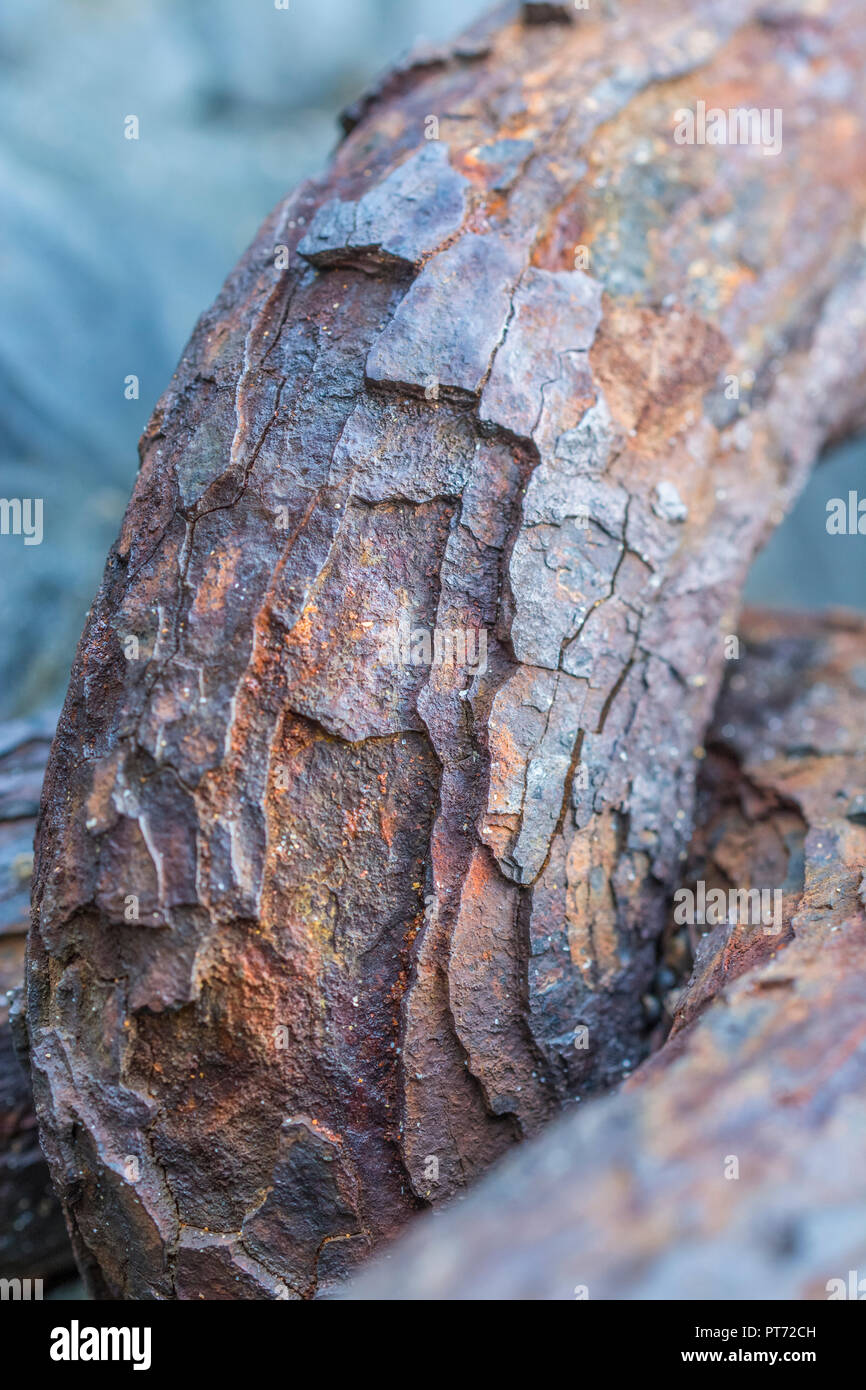 Close-up thick rust encrustation on very heavy duty mooring chain ...