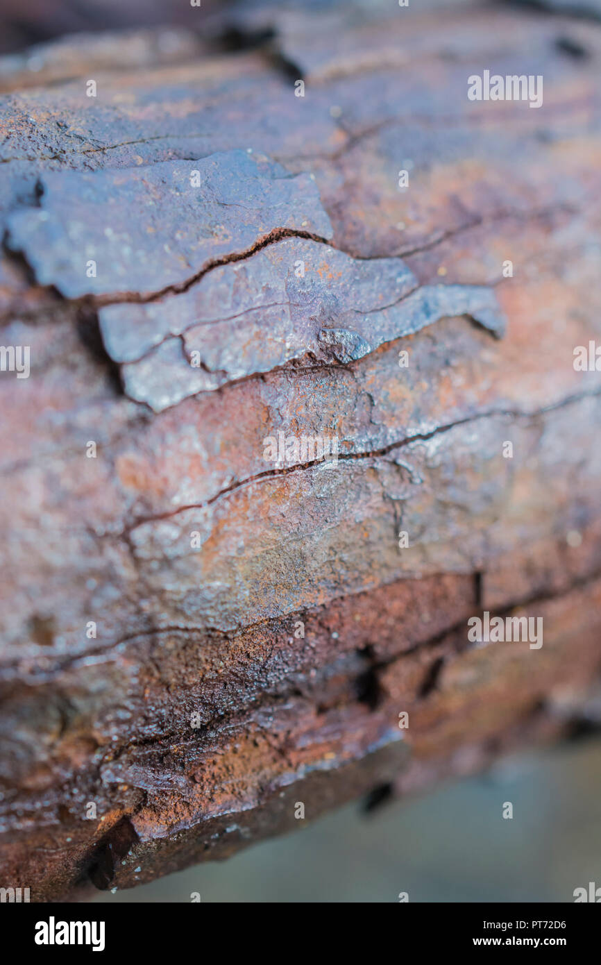 Close-up thick rust encrustation on very heavy duty mooring chain ...