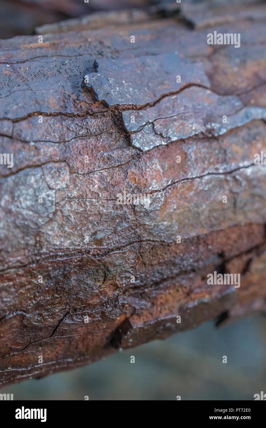 Close-up thick rust encrustation on very heavy duty mooring chain ...