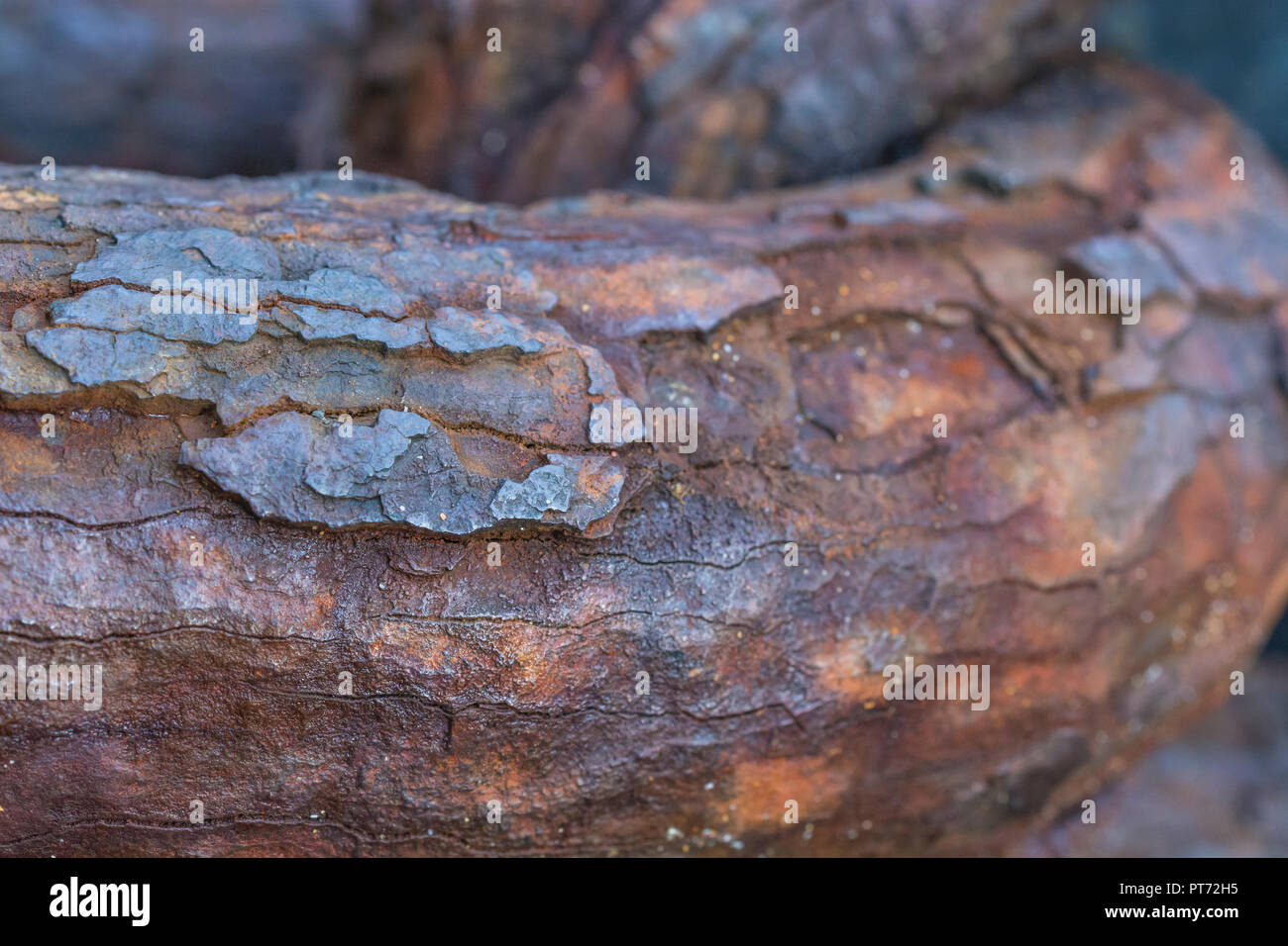 Close-up thick rust encrustation on very heavy duty mooring chain ...