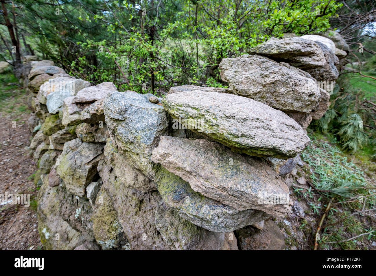 Random texture in nature hi-res stock photography and images - Alamy