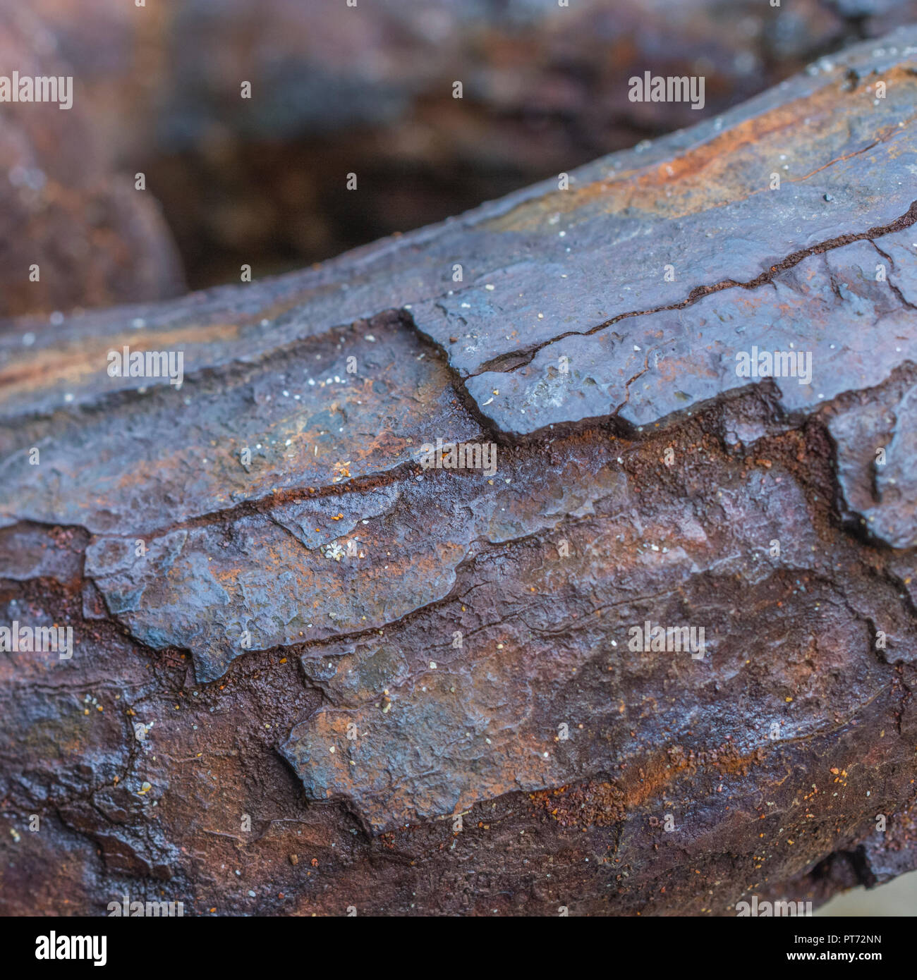 Close-up thick rust encrustation on very heavy duty mooring chain ...