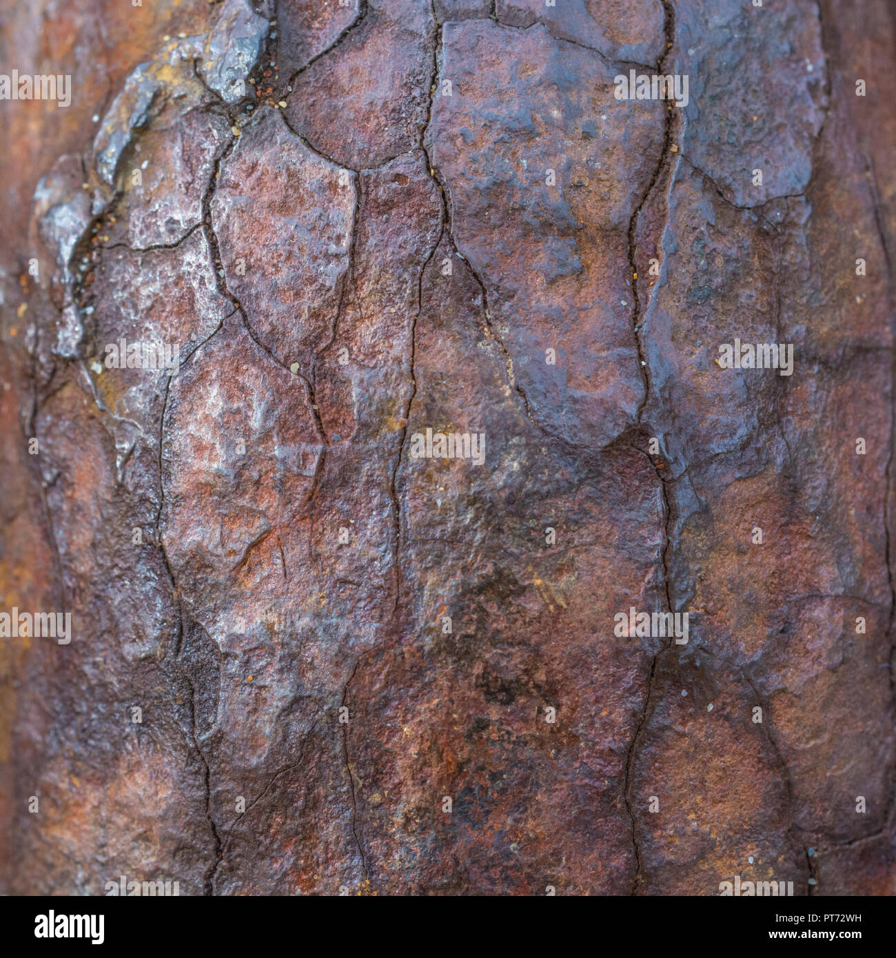 Close-up thick rust encrustation on very heavy duty mooring chain ...
