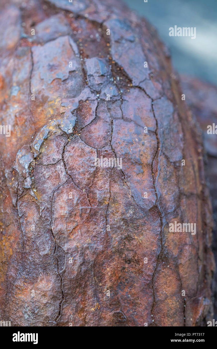Close-up thick rust encrustation on very heavy duty mooring chain ...
