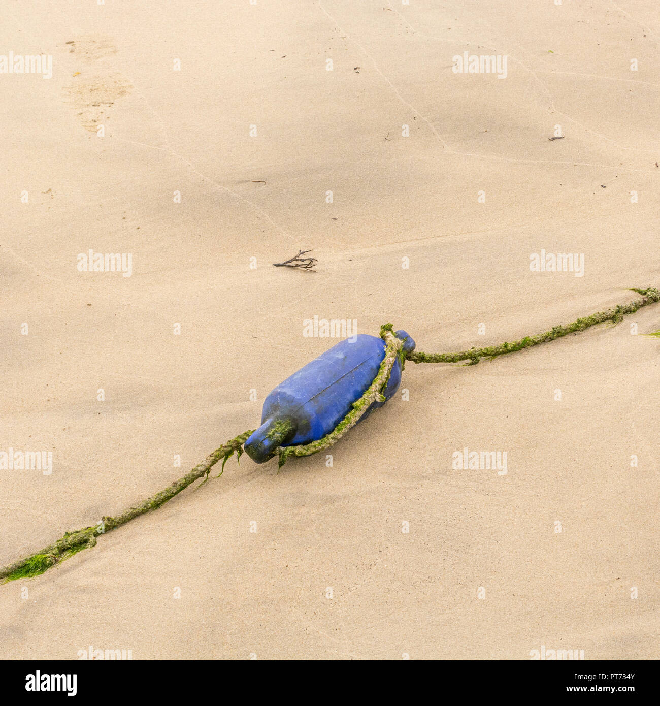 Blue float and mooring rope for small boat. Staying afloat metaphor ...