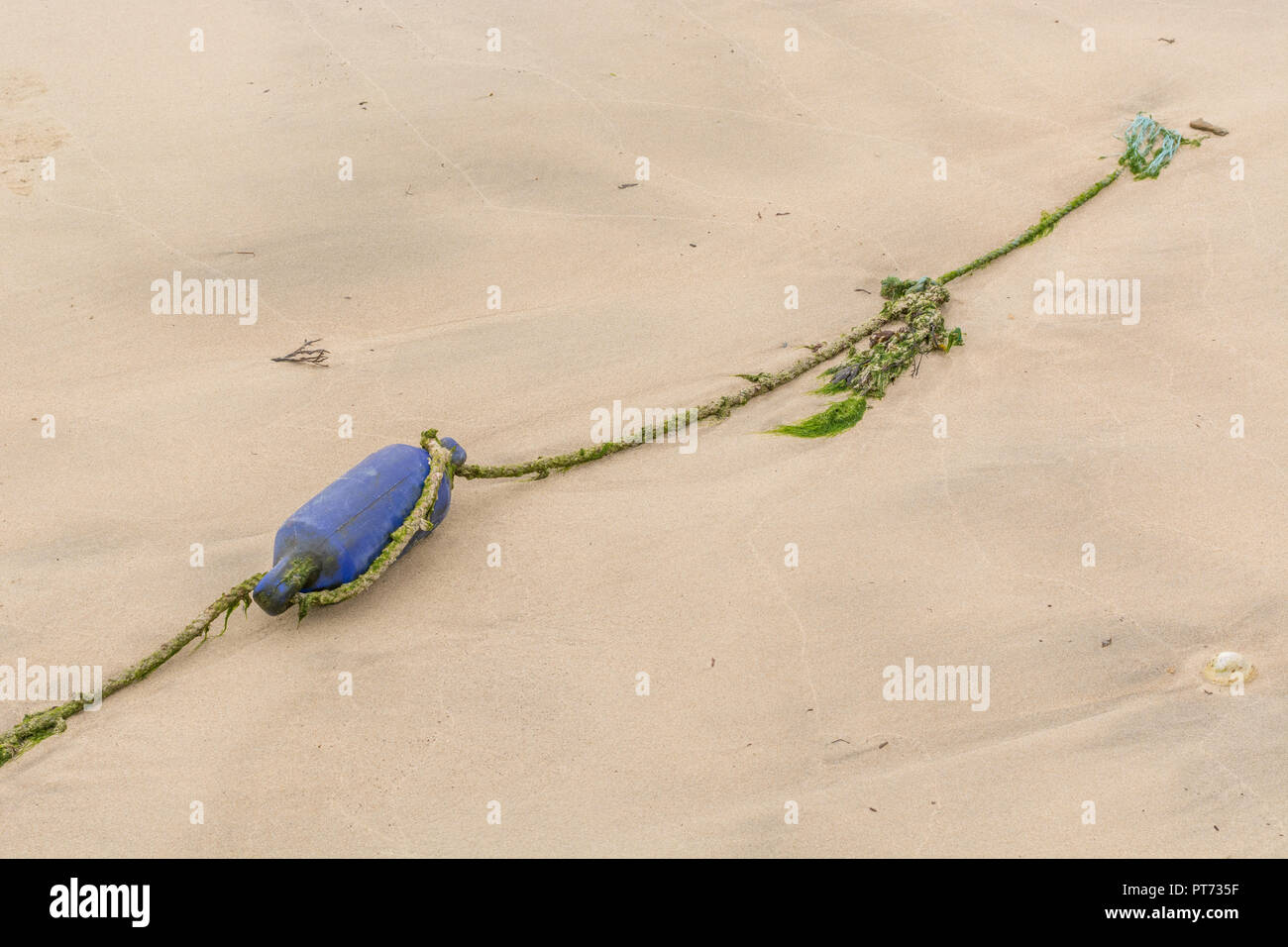 Blue float and mooring rope for small boat. Staying afloat metaphor ...
