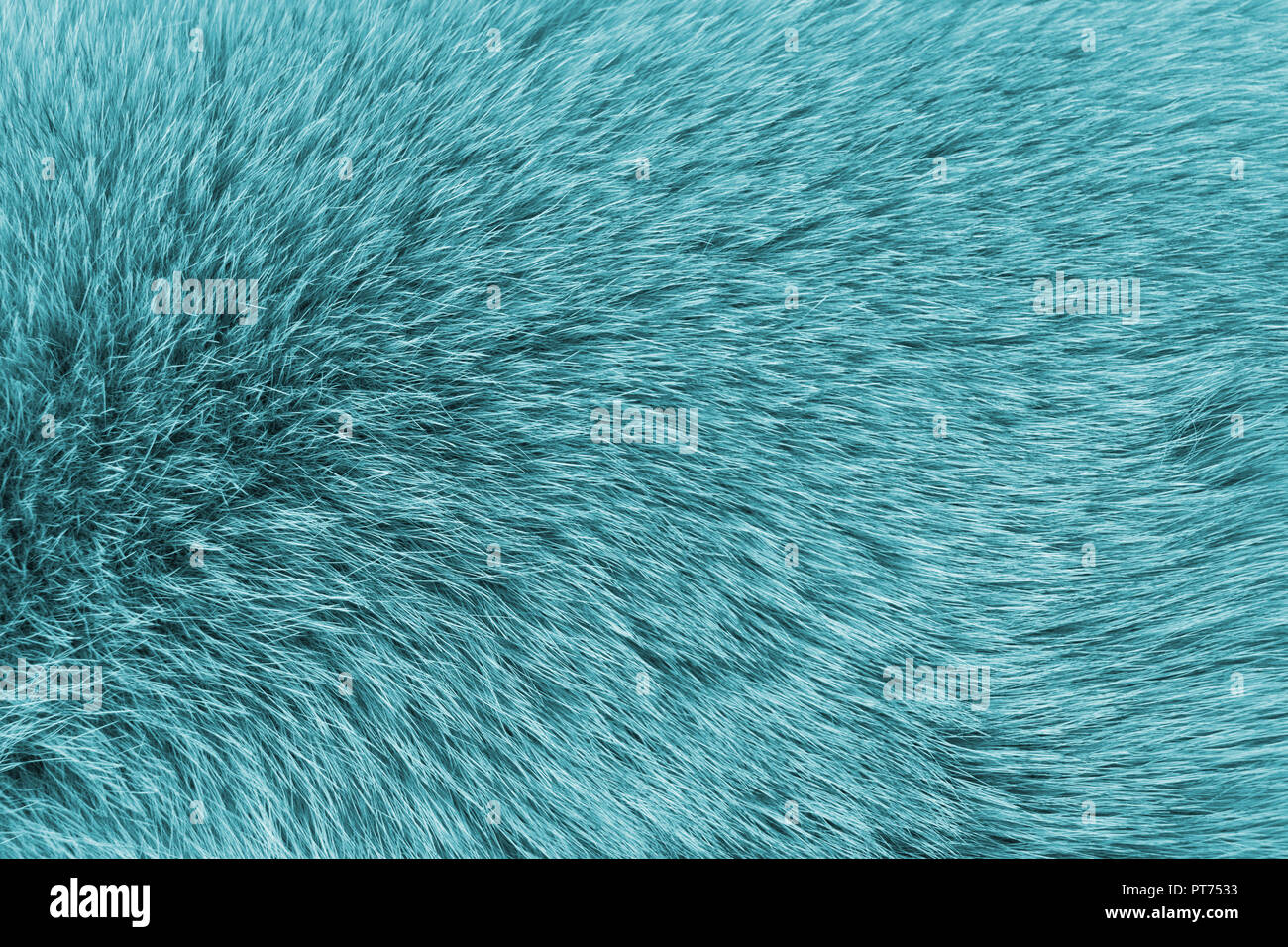 Blue fur background Stock Photo - Alamy