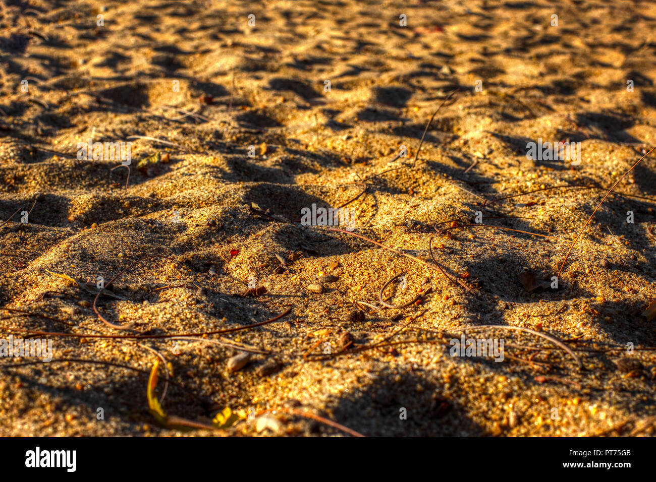 Patterns of light and shadow on sand illuminated by the sun Stock Photo ...