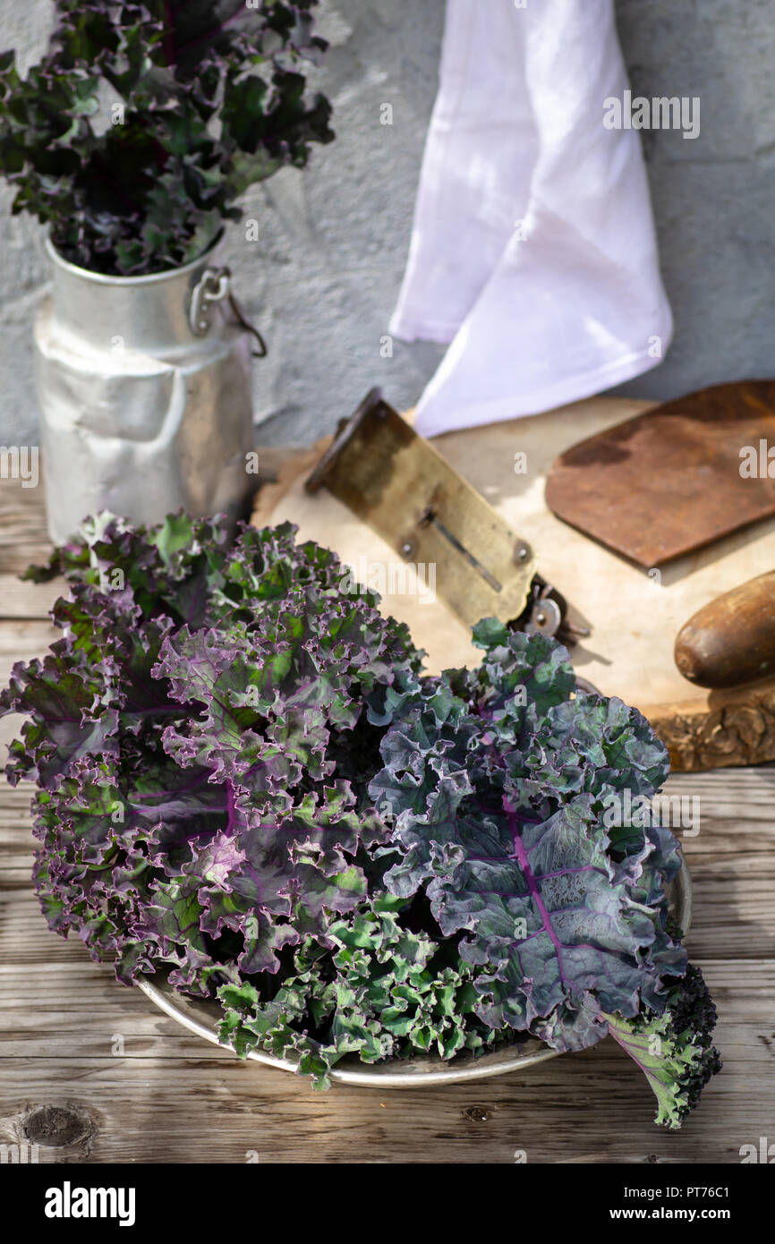 Red leaf kale hi-res stock photography and images - Alamy