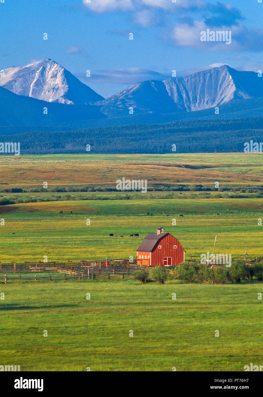 barn on ranch in the upper big hole valley below the beaverhead ...