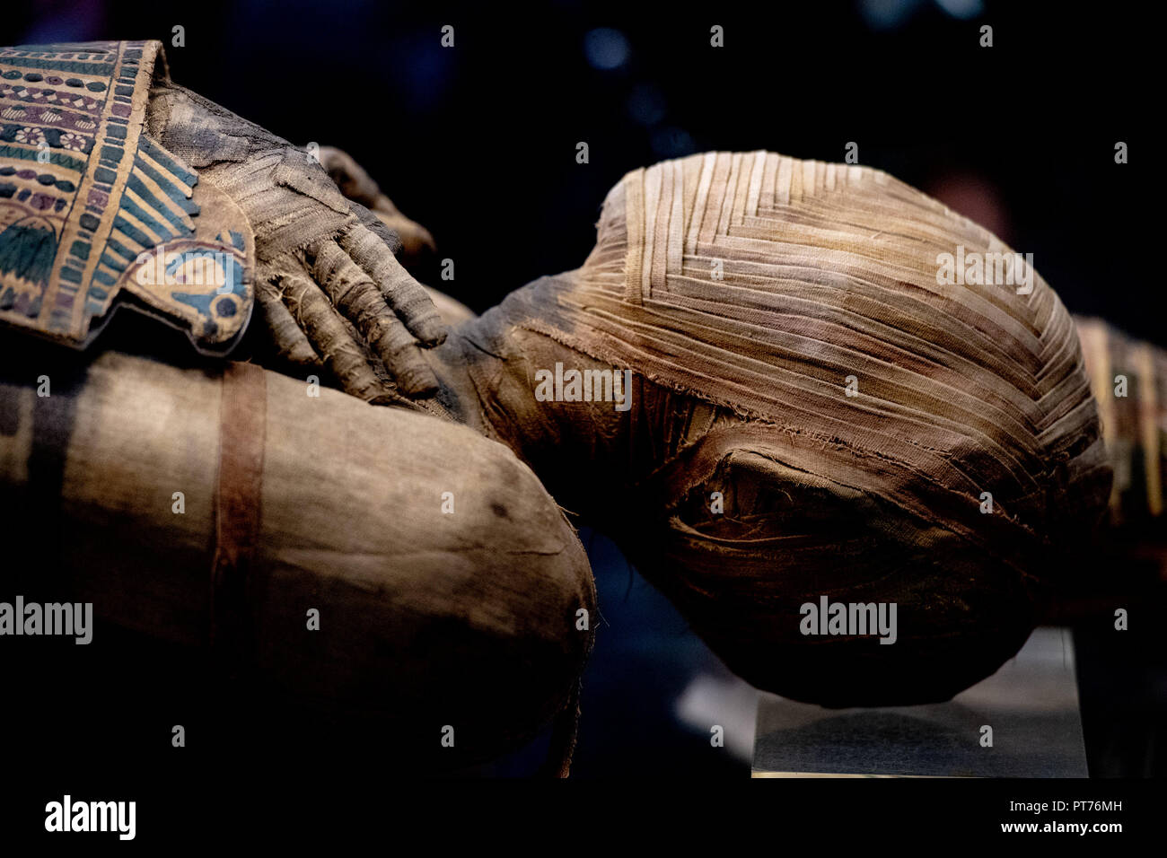 Mummy head hi-res stock photography and images - Alamy