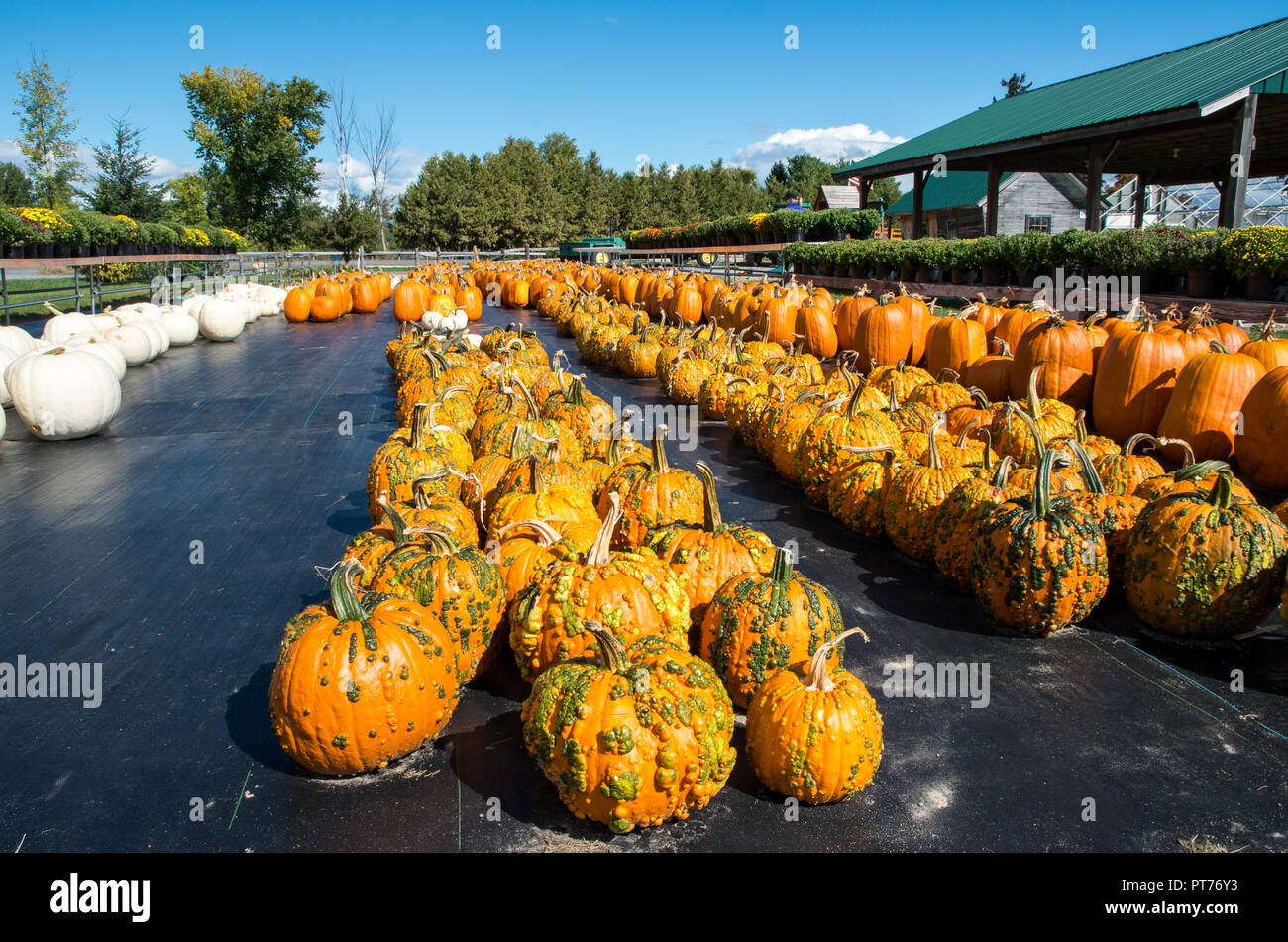 Crop stand hi-res stock photography and images - Alamy