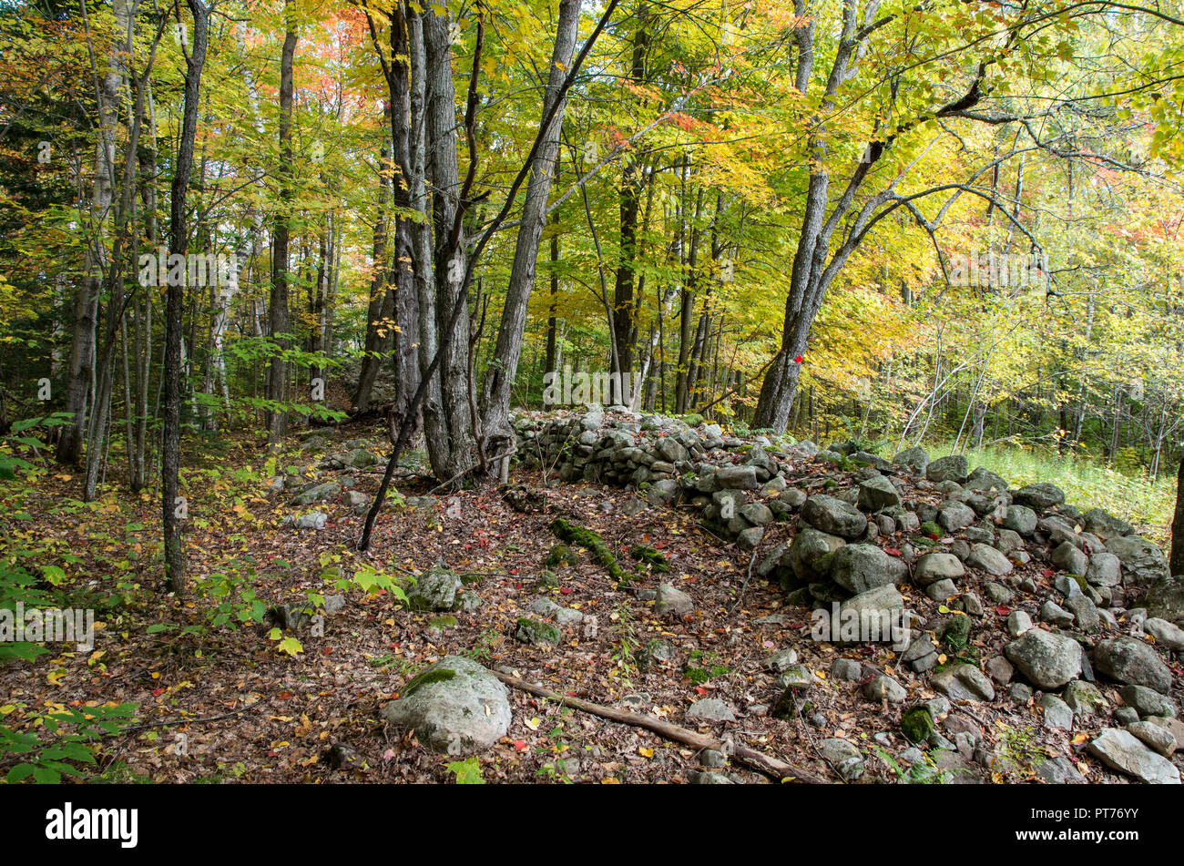 Old stone wall running through the forest in the Fall Stock Photo - Alamy