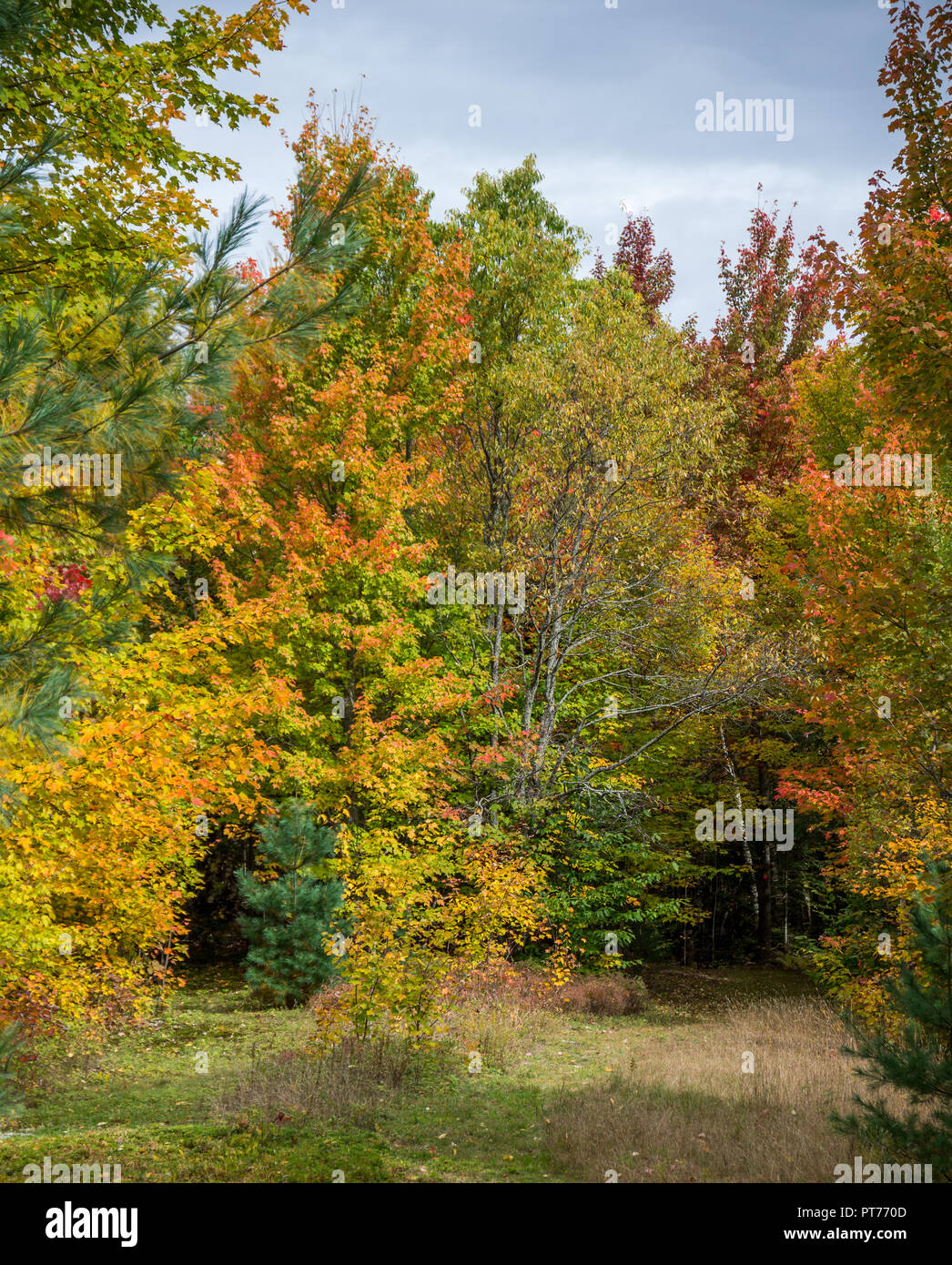 Fall in the Adirondacks Stock Photo - Alamy