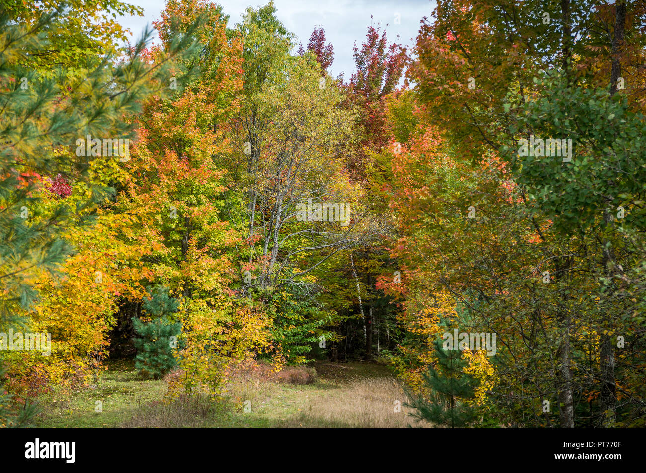 Fall in the Adirondacks Stock Photo - Alamy