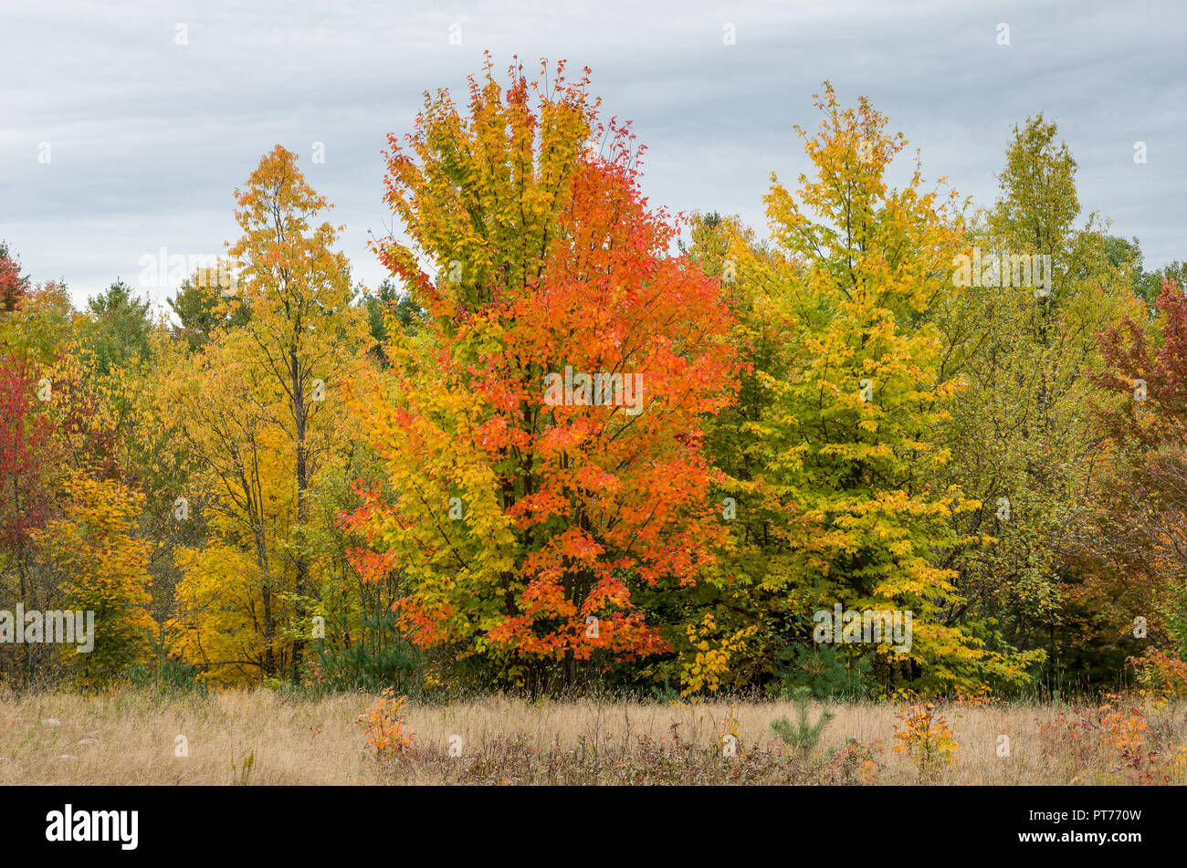 Fall in the Adirondacks Stock Photo - Alamy
