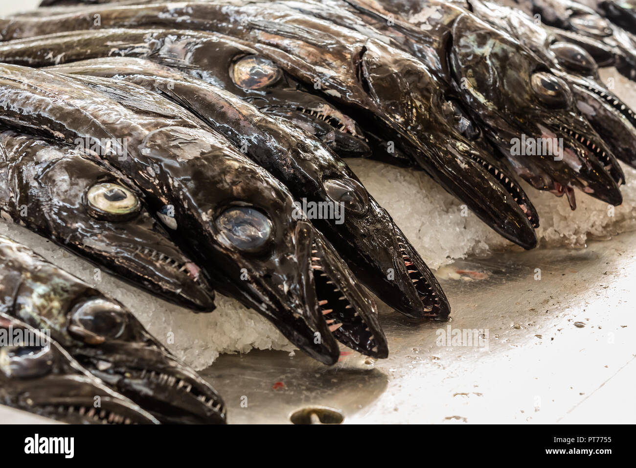 Fish for sale in Funchal fish market, Madeira Stock Photo - Alamy