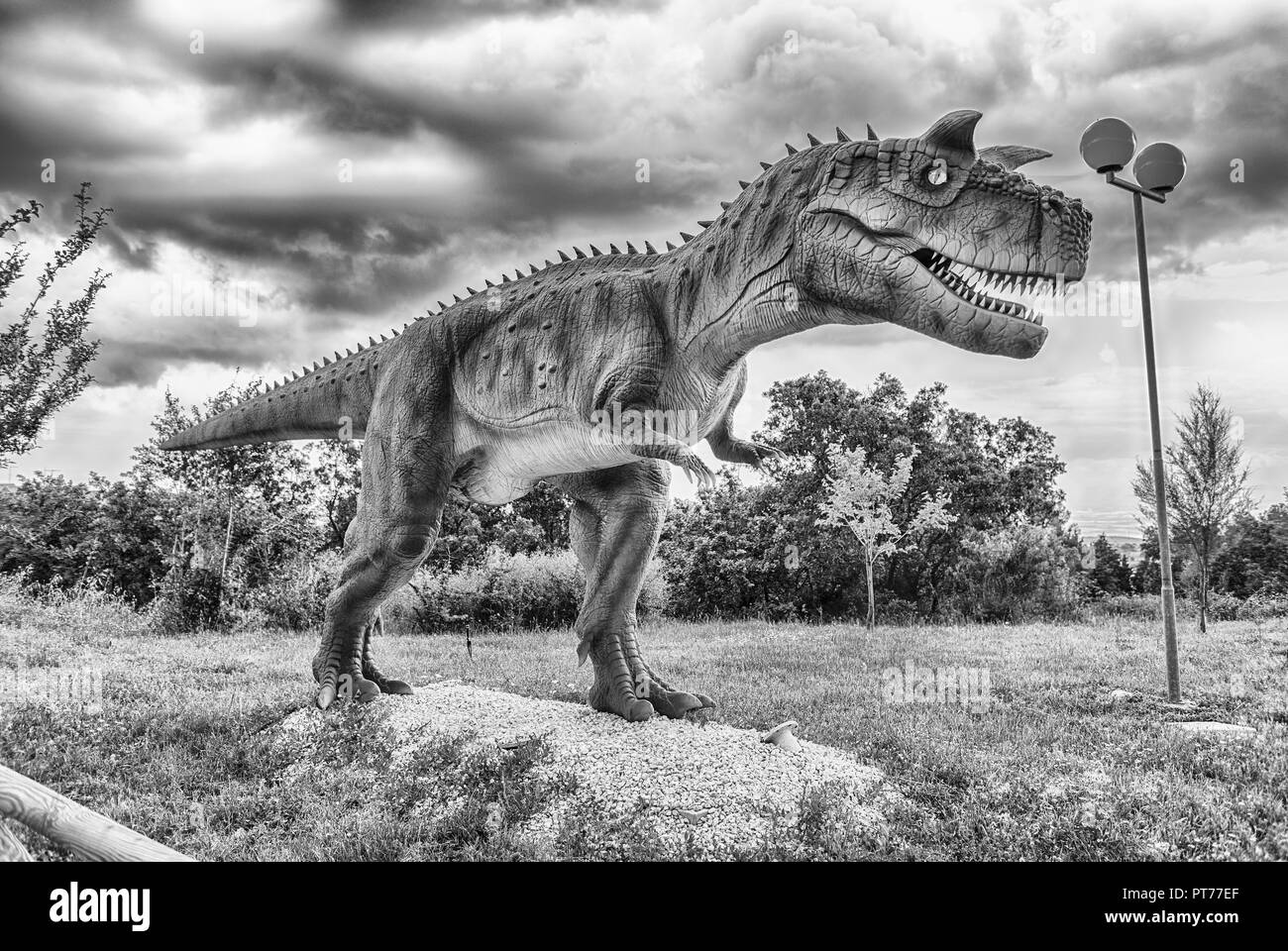 Carnotaurus dinosaur Black and White Stock Photos & Images - Alamy