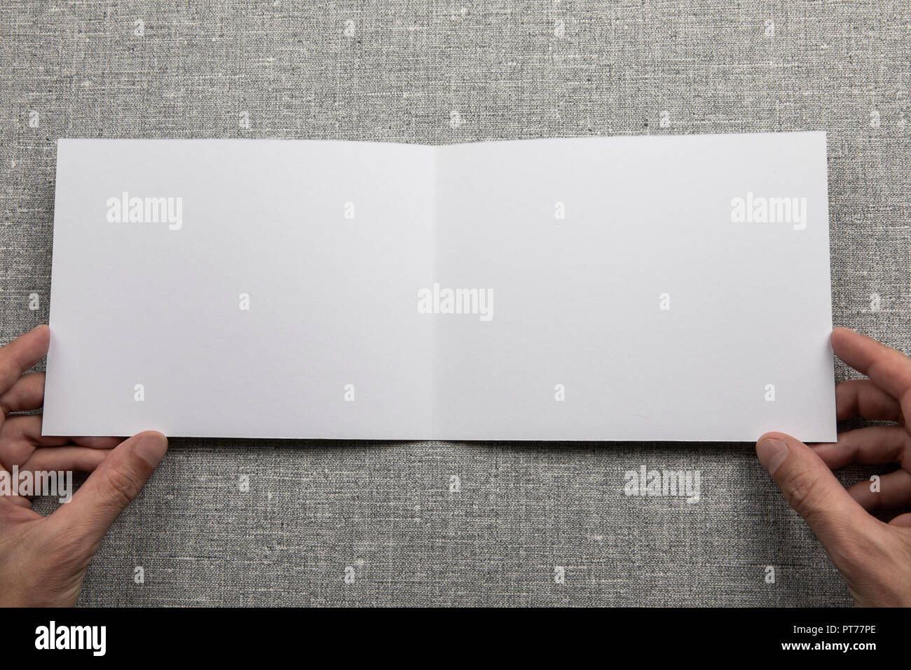 Mens hands holding empty white booklet on gray background. View from ...