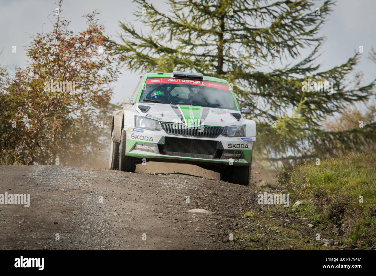 R5 class rally car hi-res stock photography and images - Alamy