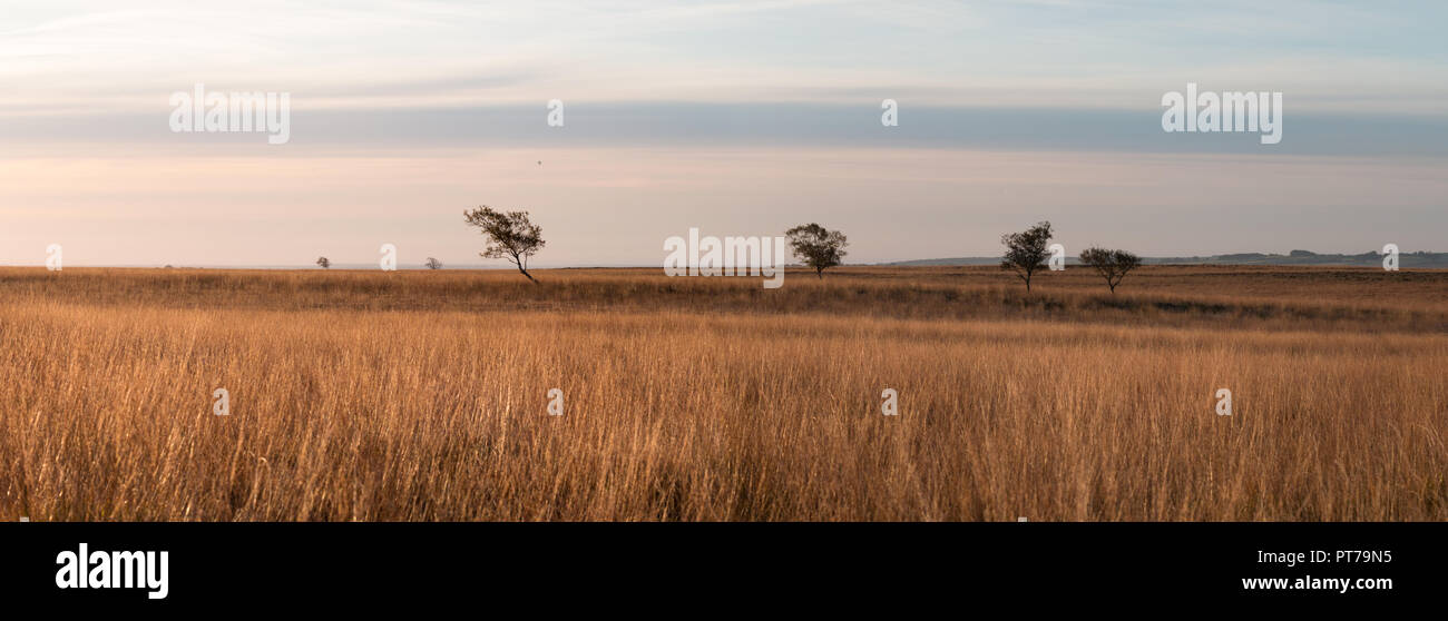 Big moor derbyshire hi-res stock photography and images - Alamy