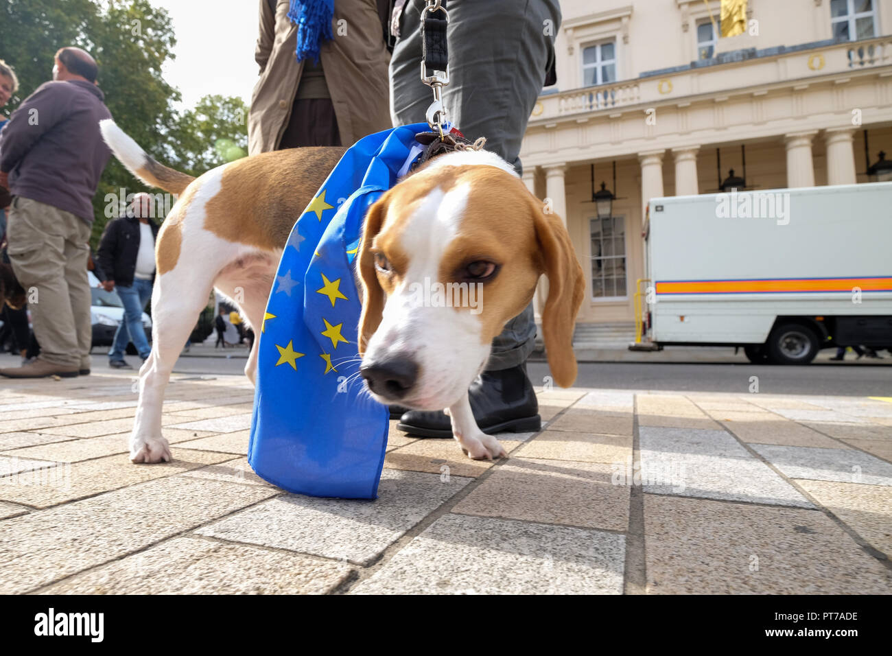 Wooferendum march hi-res stock photography and images - Alamy