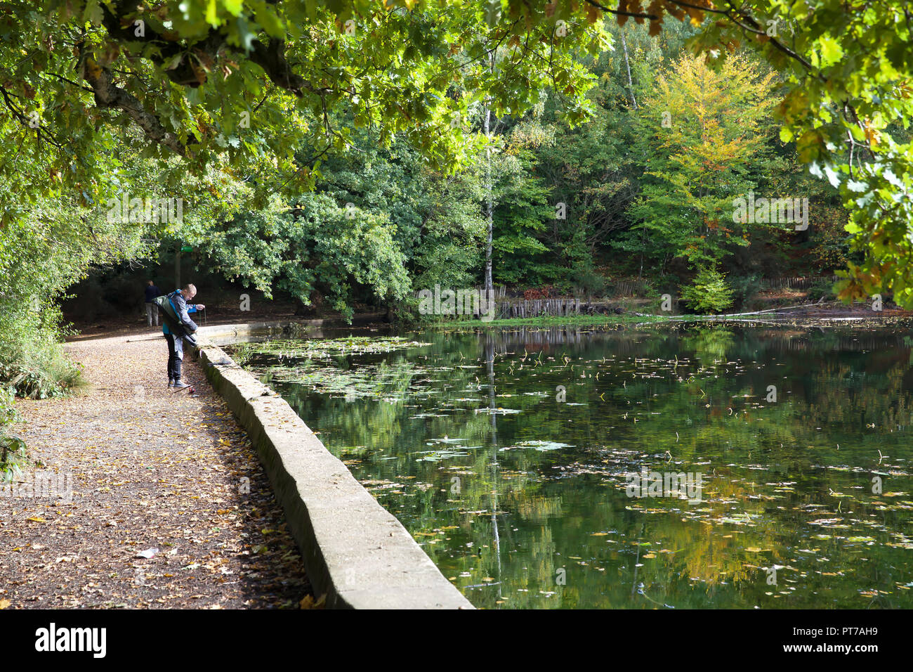 Family walking around a lake hi-res stock photography and images - Alamy