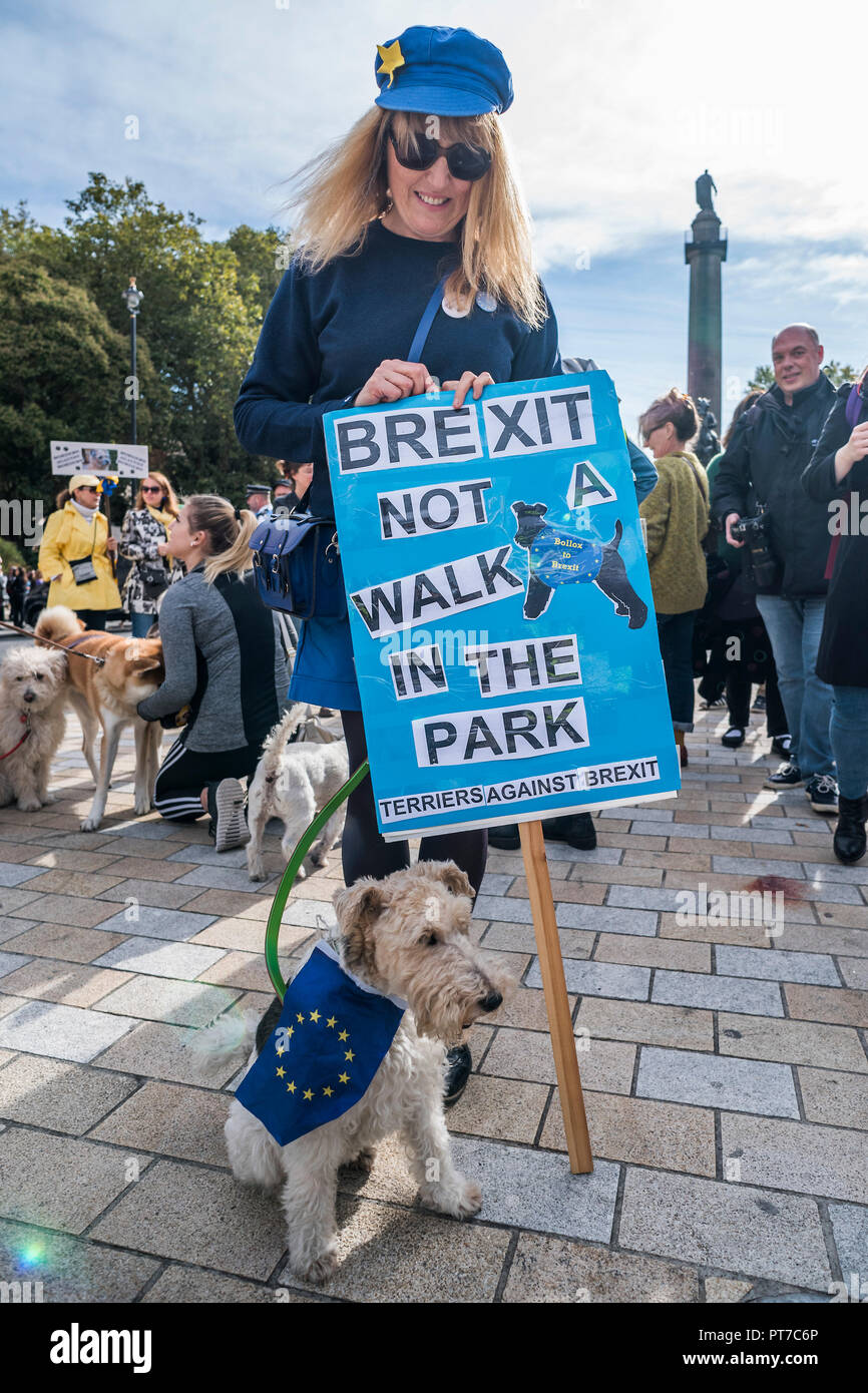 Pet passports uk hi-res stock photography and images - Alamy