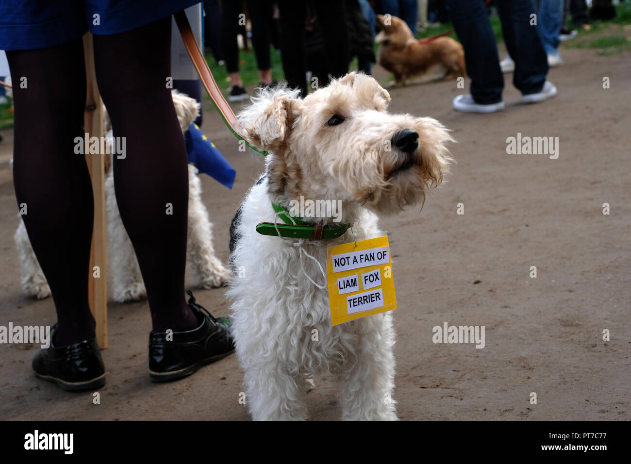 London, UK. 7th Oct 2018. Anti - Brexit march with dogs billed as the ...