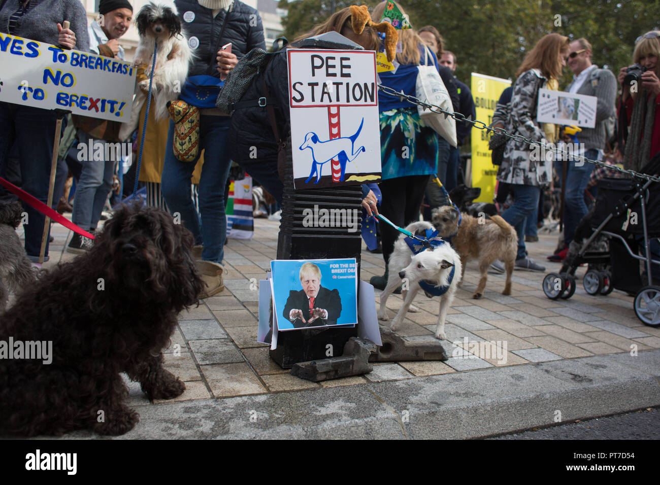 London, UK. 7th Oct, 2018. Wooferendum dog march: Dogs against Brexit ...