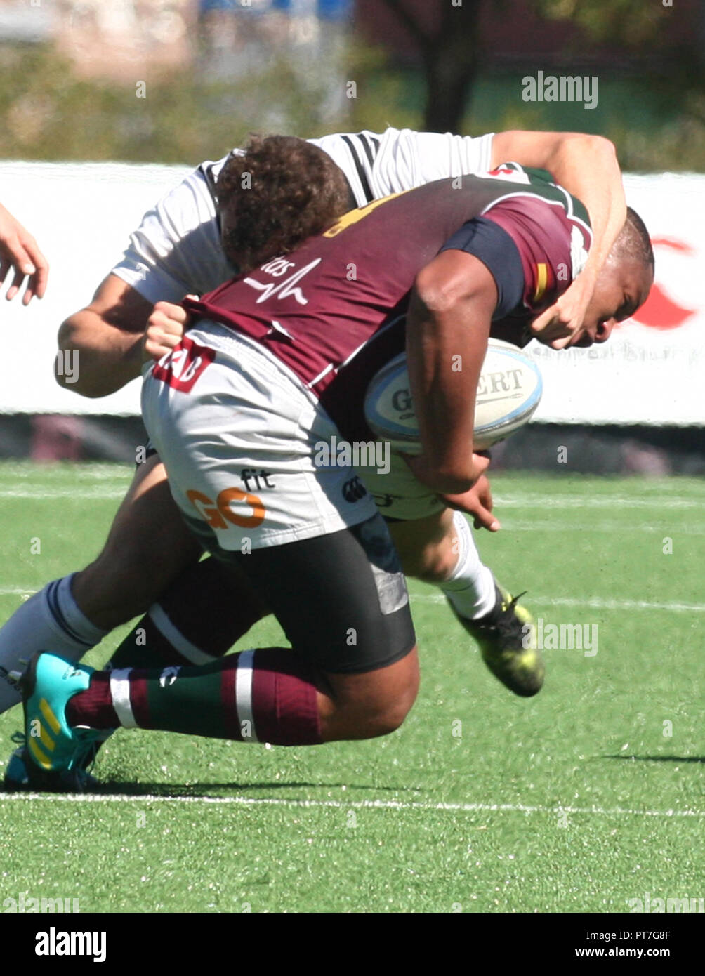 Leo loco hi-res stock photography and images - Alamy