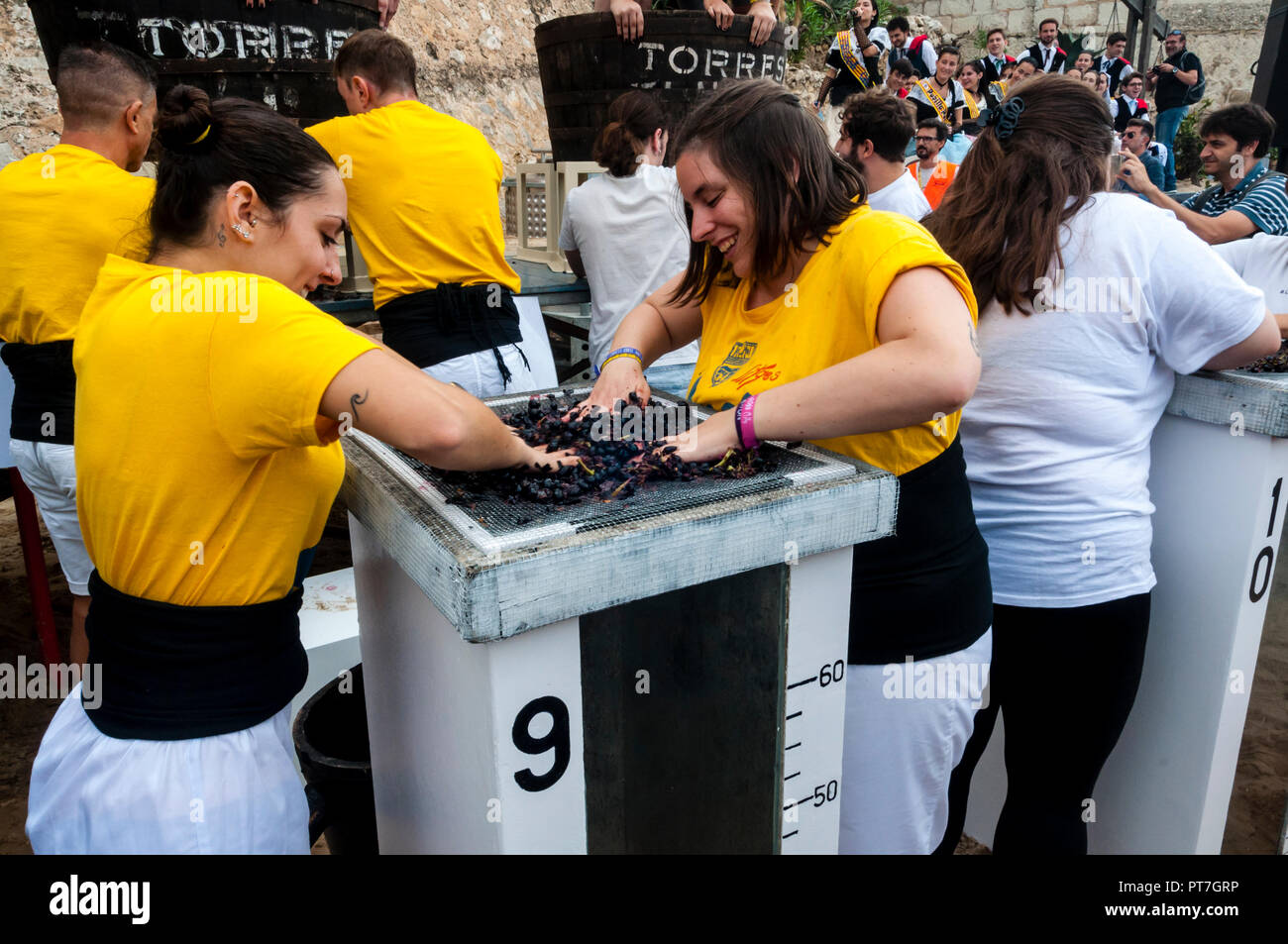 Grape stomping hi-res stock photography and images - Alamy