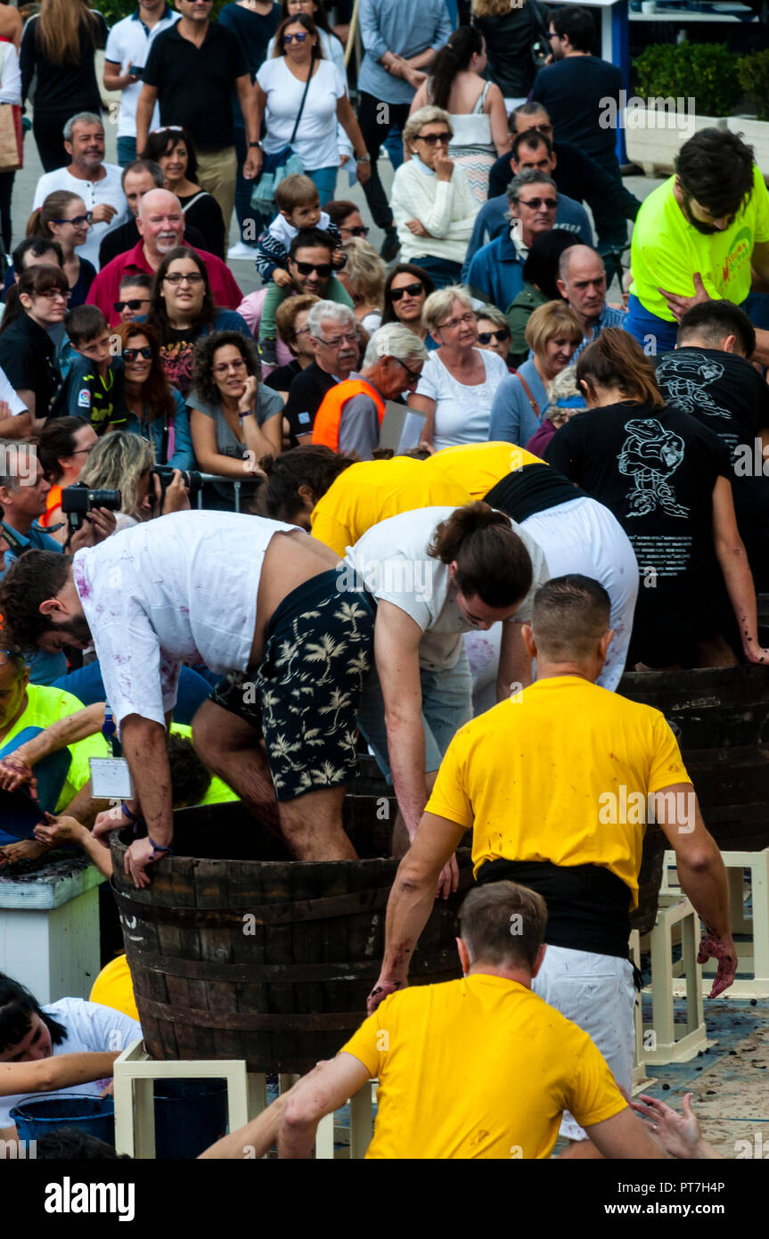 Grape stomping contest hi-res stock photography and images - Alamy