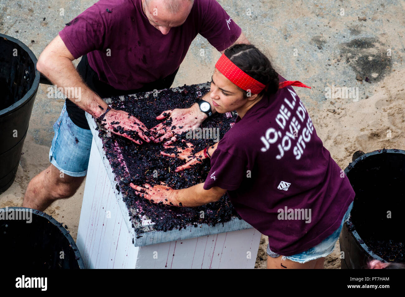 Grape stomping contest hi-res stock photography and images - Alamy