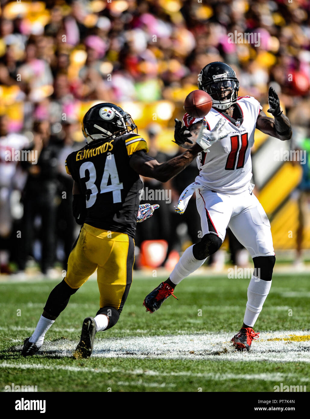 Terrell falcons hi-res stock photography and images - Alamy