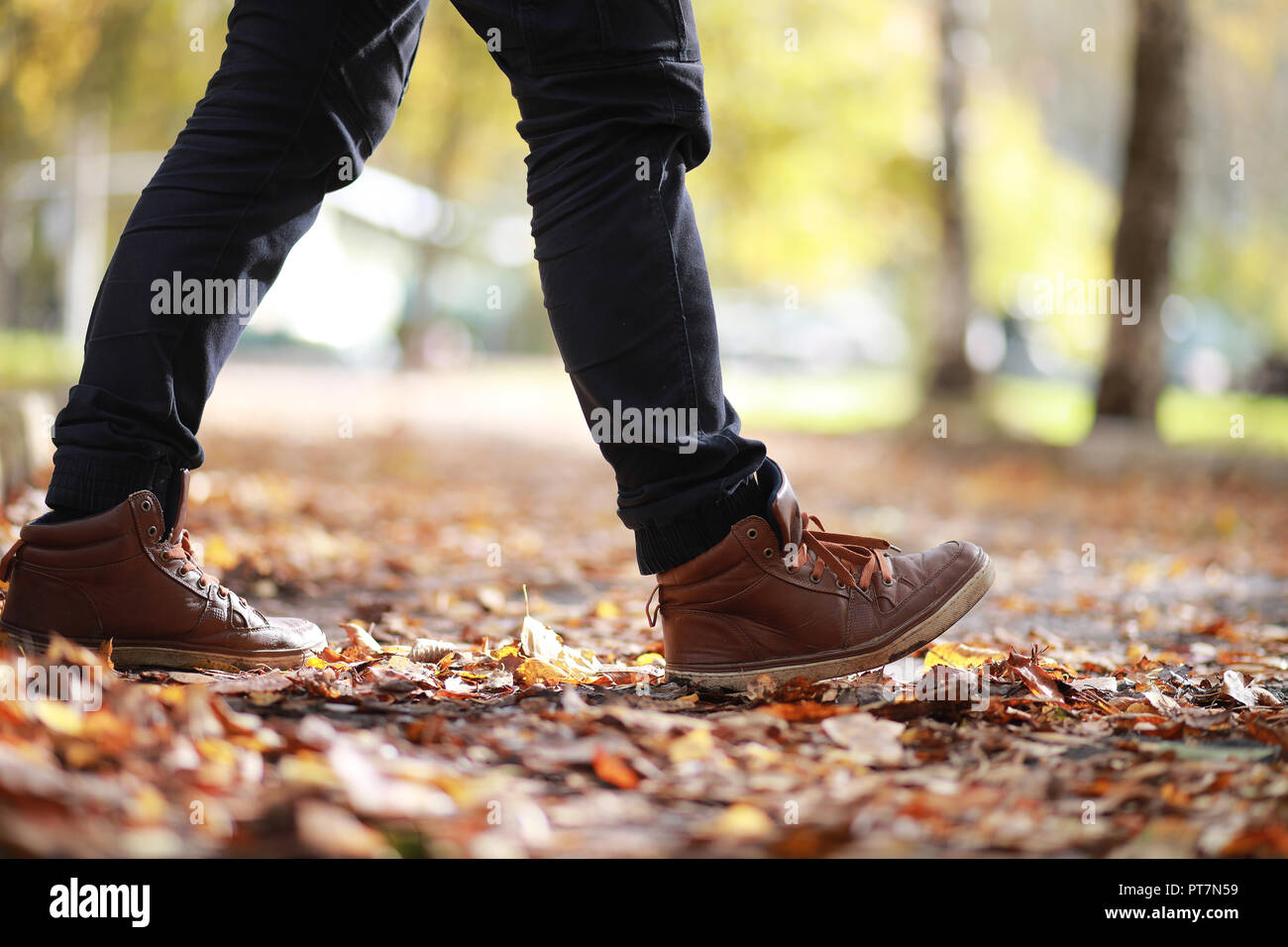 Autumn Park man walking along a path foliage Stock Photo - Alamy